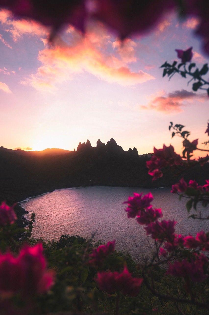 Pink Nature Aesthetic Wallpapers - Top Free Pink Nature Aesthetic ...