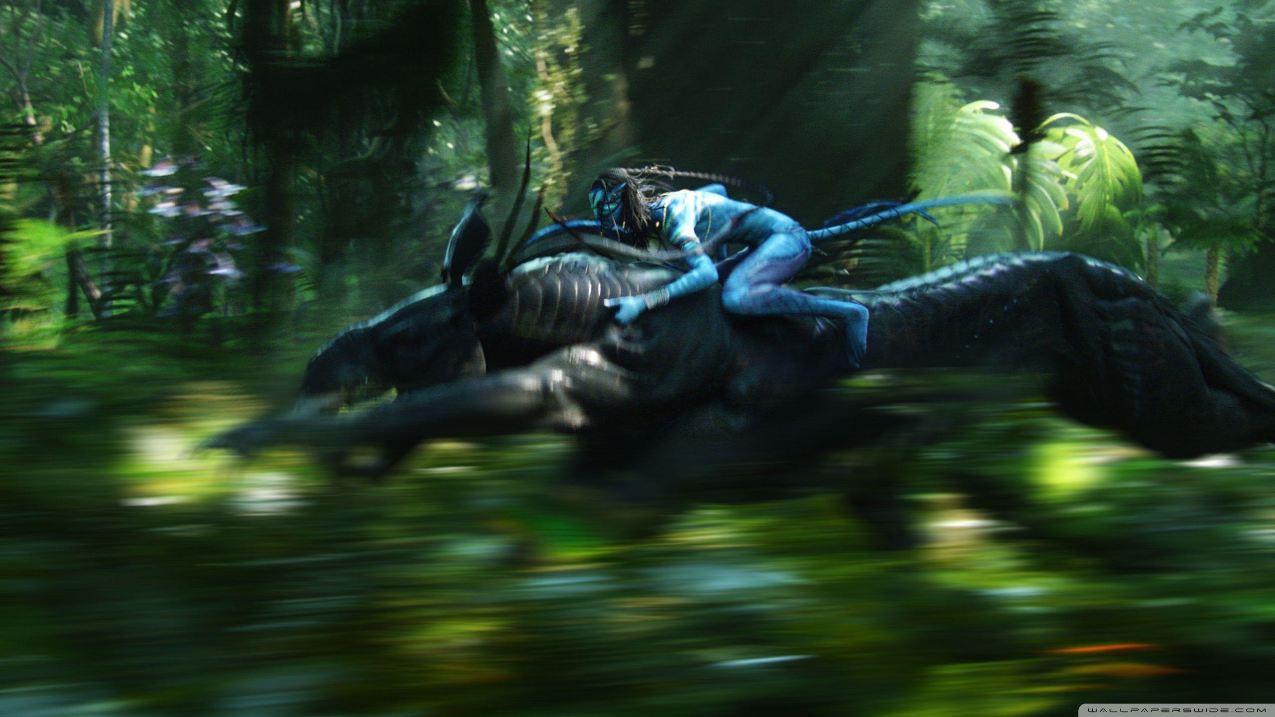 Avatar Dual Monitor Wallpapers - Top Free Avatar Dual Monitor ...