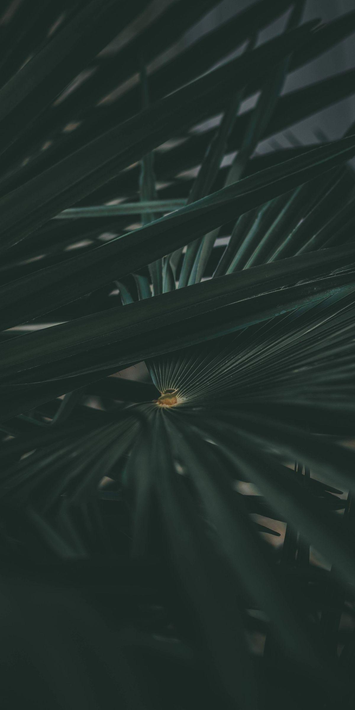 Calming Black Wallpapers - Top Free Calming Black Backgrounds ...