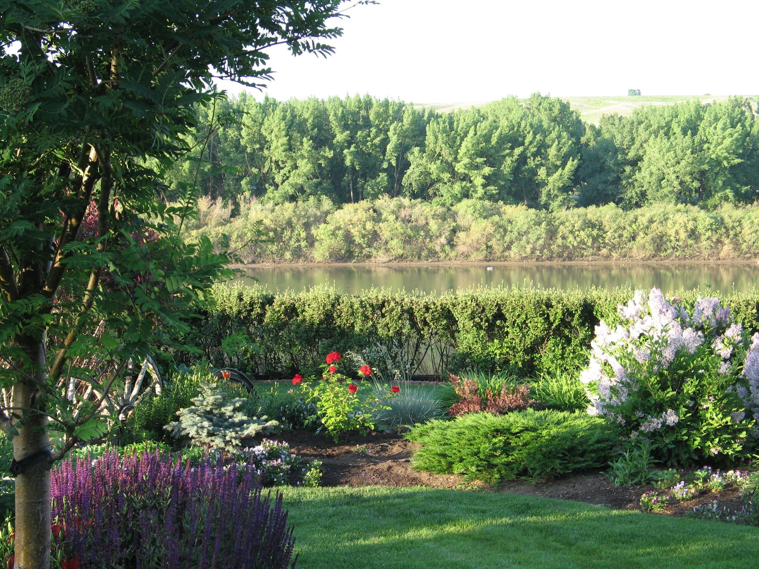 Calming Garden Wallpapers - Top Free Calming Garden Backgrounds ...