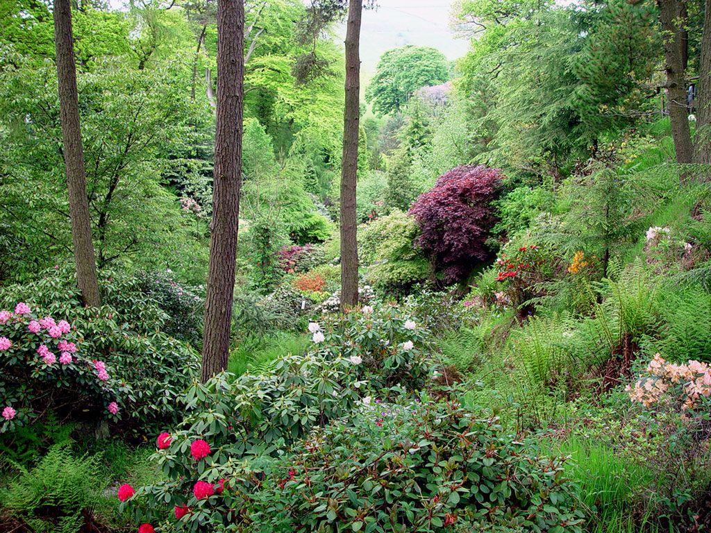 Calming Garden Wallpapers - Top Free Calming Garden Backgrounds ...