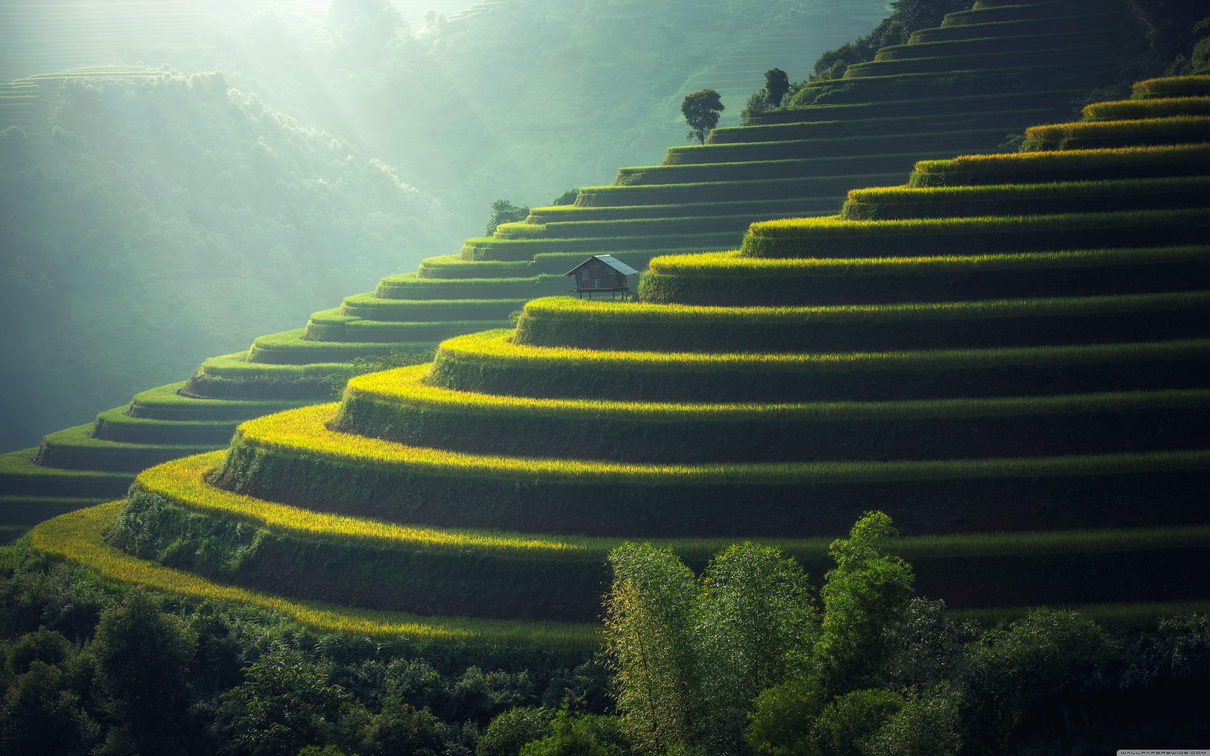 Asian Scenery Wallpapers - Top Free Asian Scenery Backgrounds ...