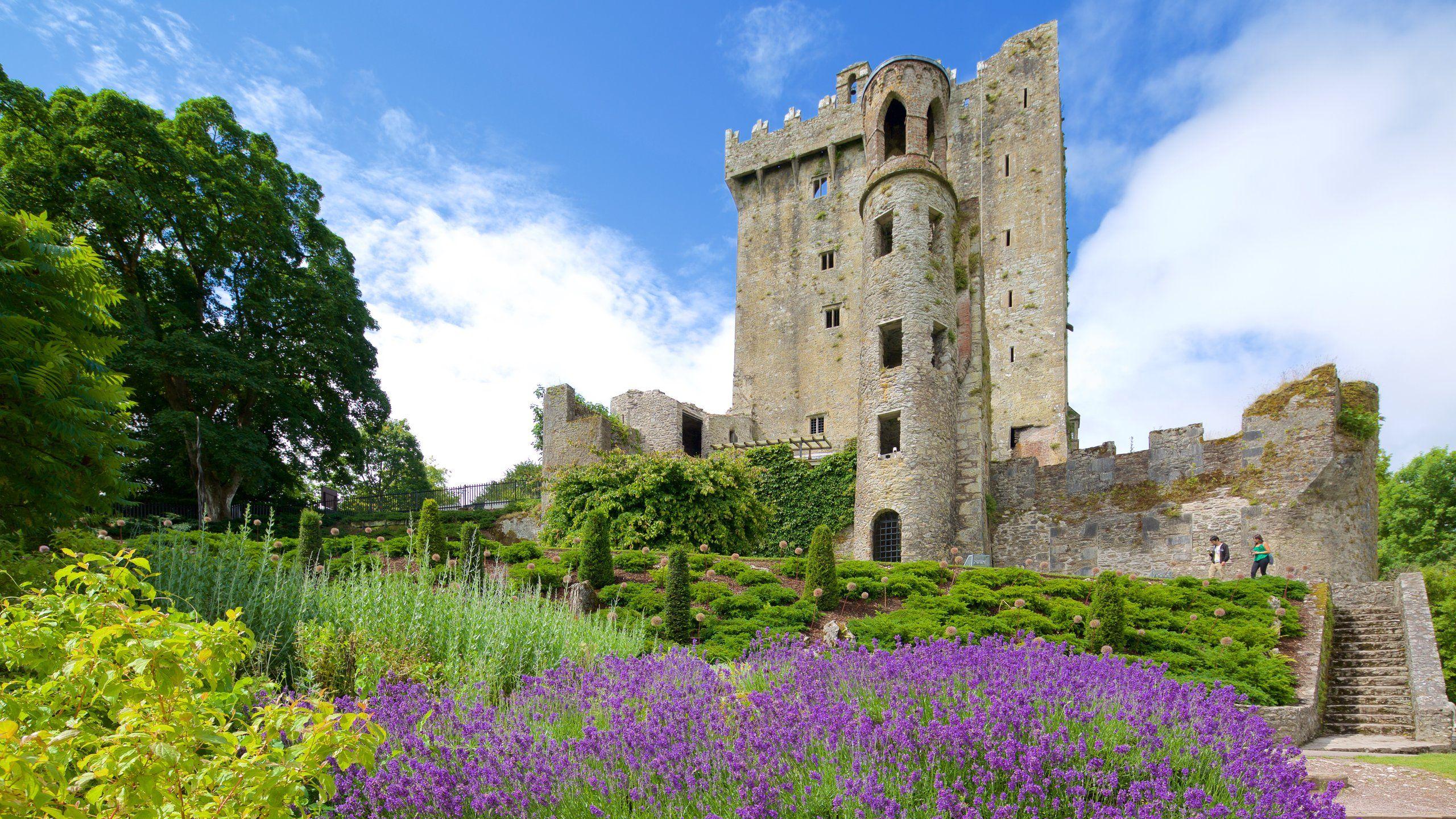 Blarney Castle Wallpapers - Top Free Blarney Castle Backgrounds ...