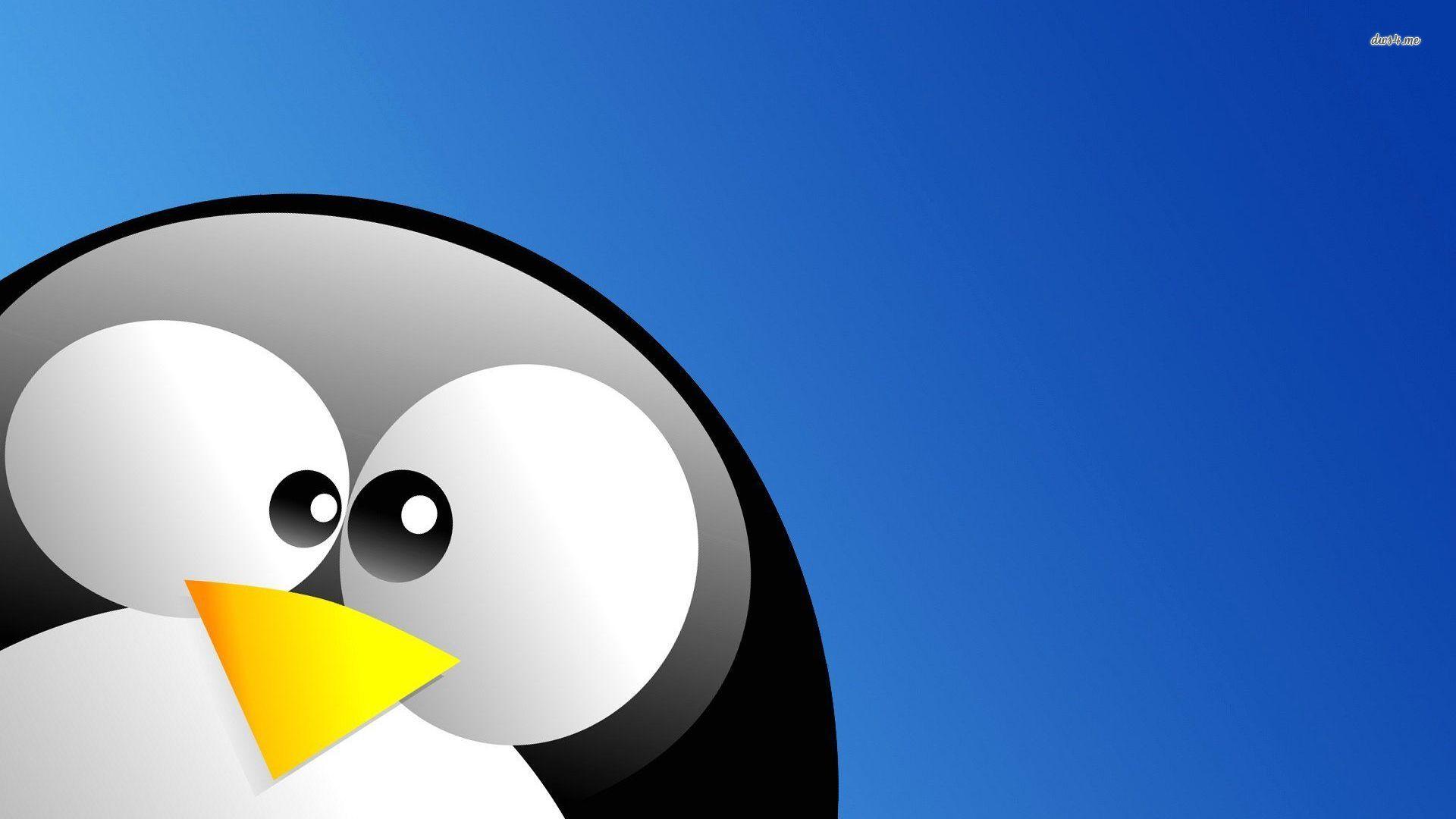 Tux Wallpapers - Top Free Tux Backgrounds - WallpaperAccess