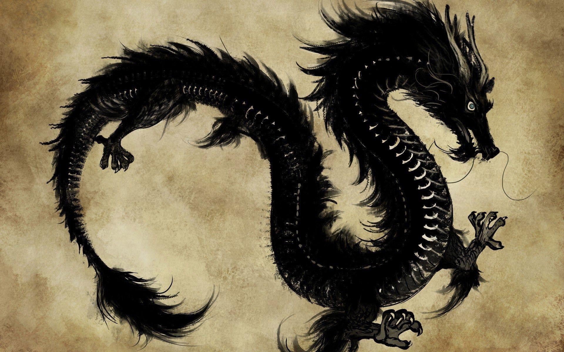 Asian Dragon Wallpapers - Top Free Asian Dragon Backgrounds ...