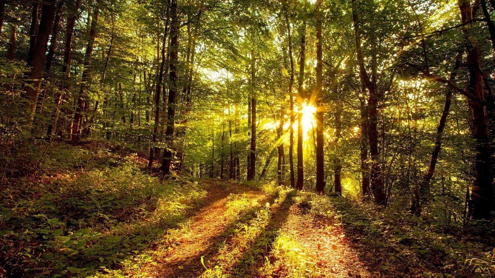 Full Size HD Wallpapers - Top Free Full Size HD Backgrounds ...