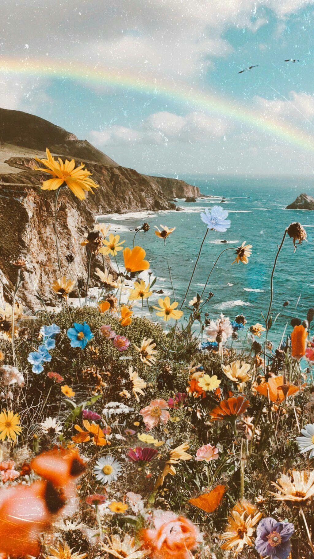 Beach Floral Wallpapers - Top Free Beach Floral Backgrounds ...