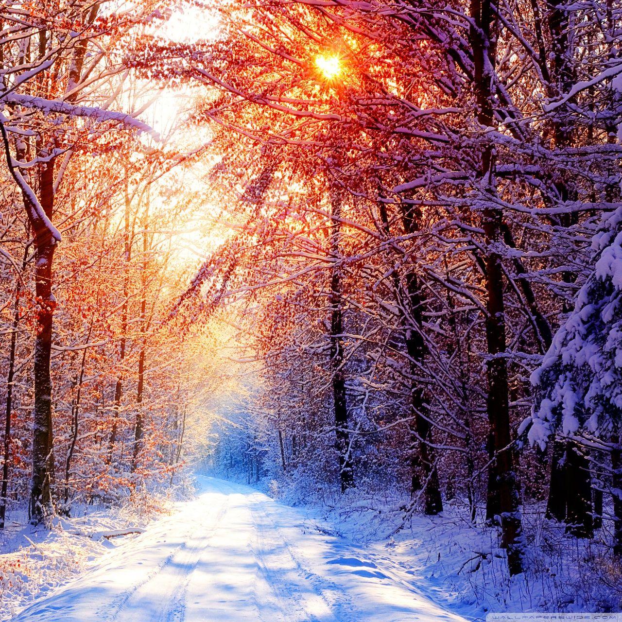 Winter Galaxy Wallpapers - Top Free Winter Galaxy Backgrounds ...