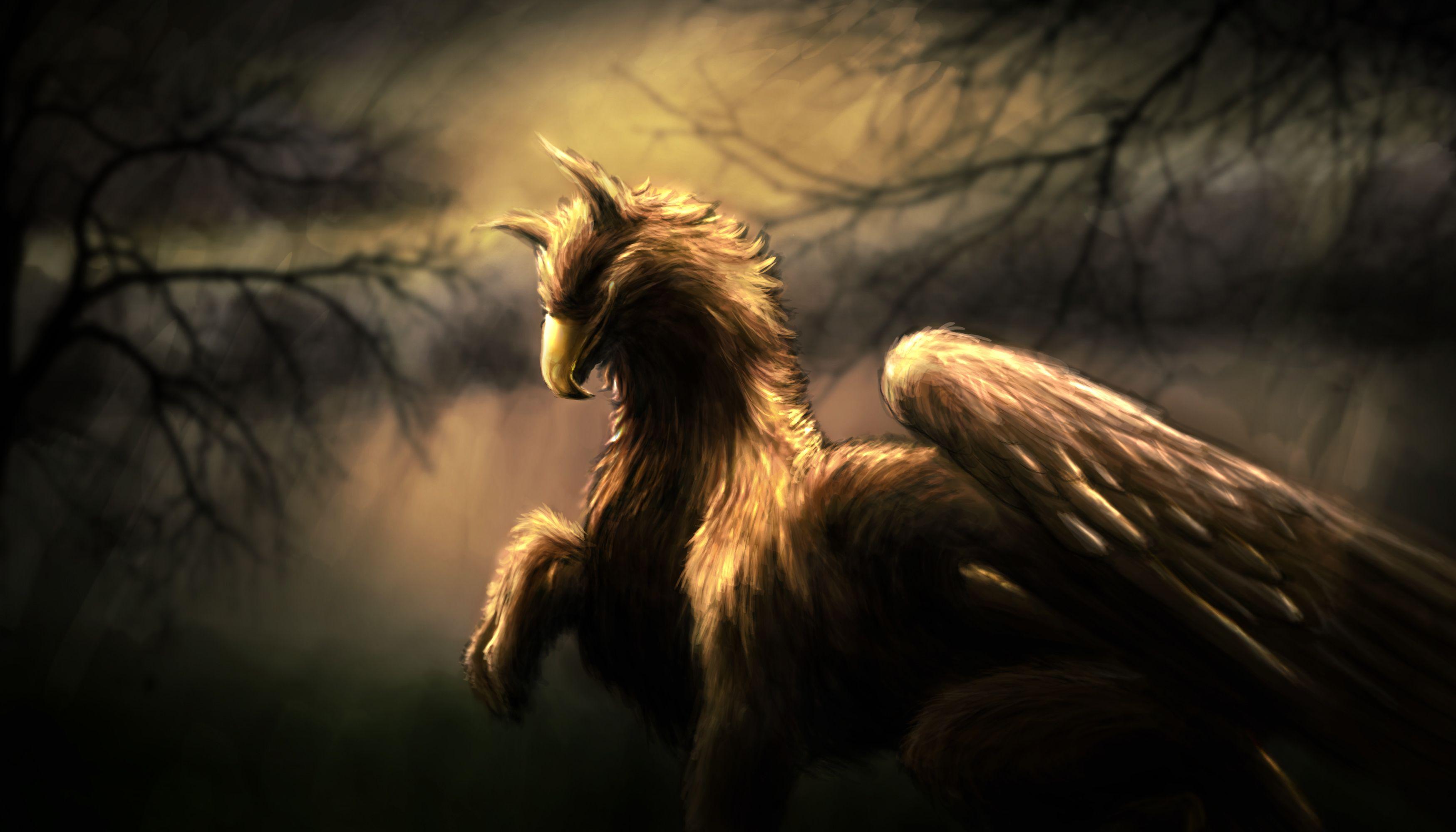 Gryphon Wallpapers - Top Free Gryphon Backgrounds - WallpaperAccess