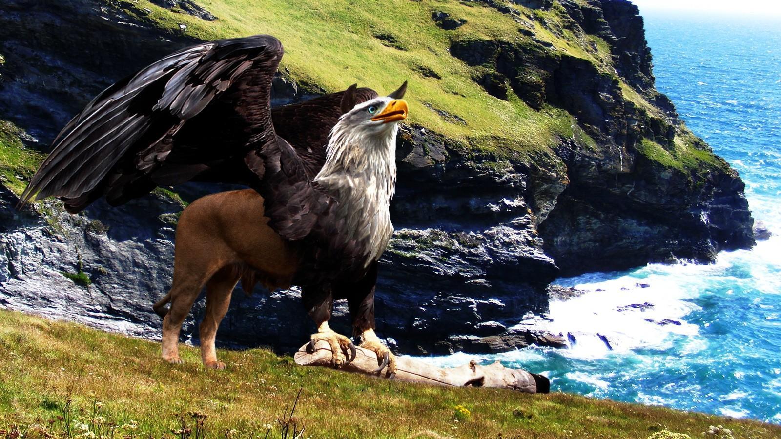 Gryphon Wallpapers - Top Free Gryphon Backgrounds - WallpaperAccess