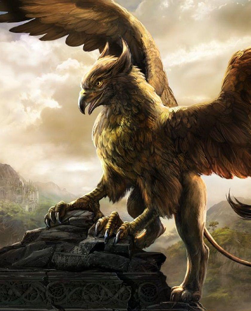 Gryphon Wallpapers - Top Free Gryphon Backgrounds - WallpaperAccess