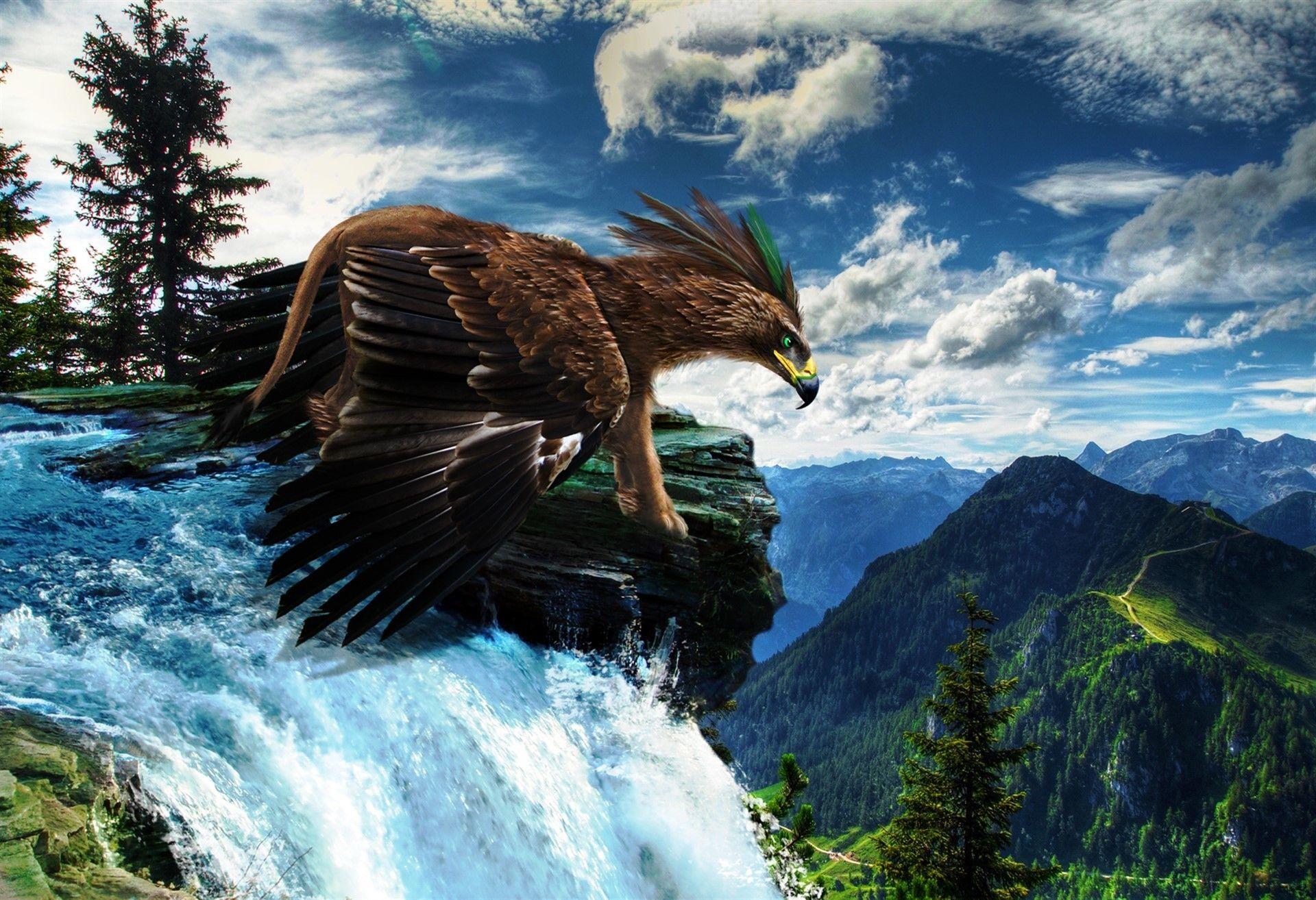 Gryphon Wallpapers - Top Free Gryphon Backgrounds - WallpaperAccess