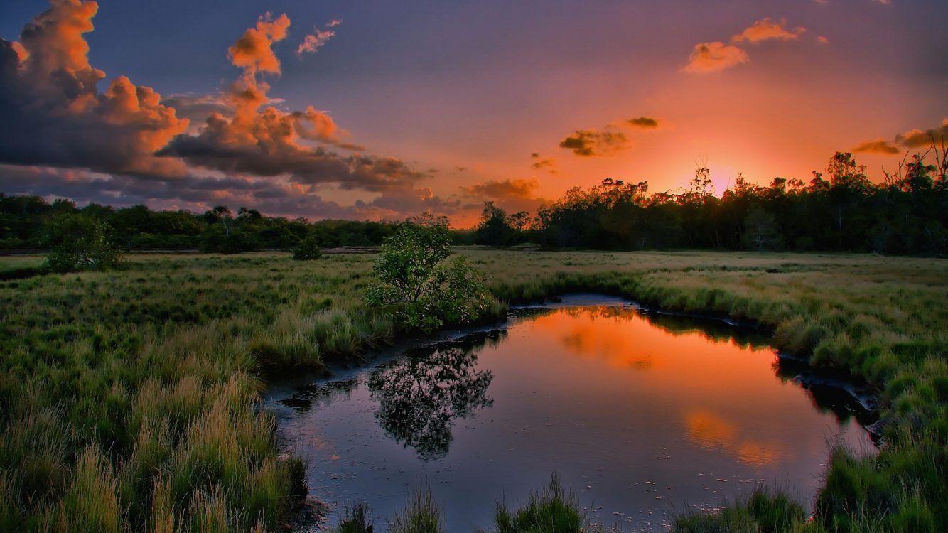 Water Pond Wallpapers - Top Free Water Pond Backgrounds - WallpaperAccess