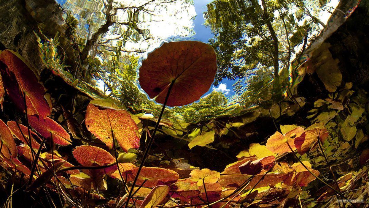 Water Pond Wallpapers - Top Free Water Pond Backgrounds - WallpaperAccess