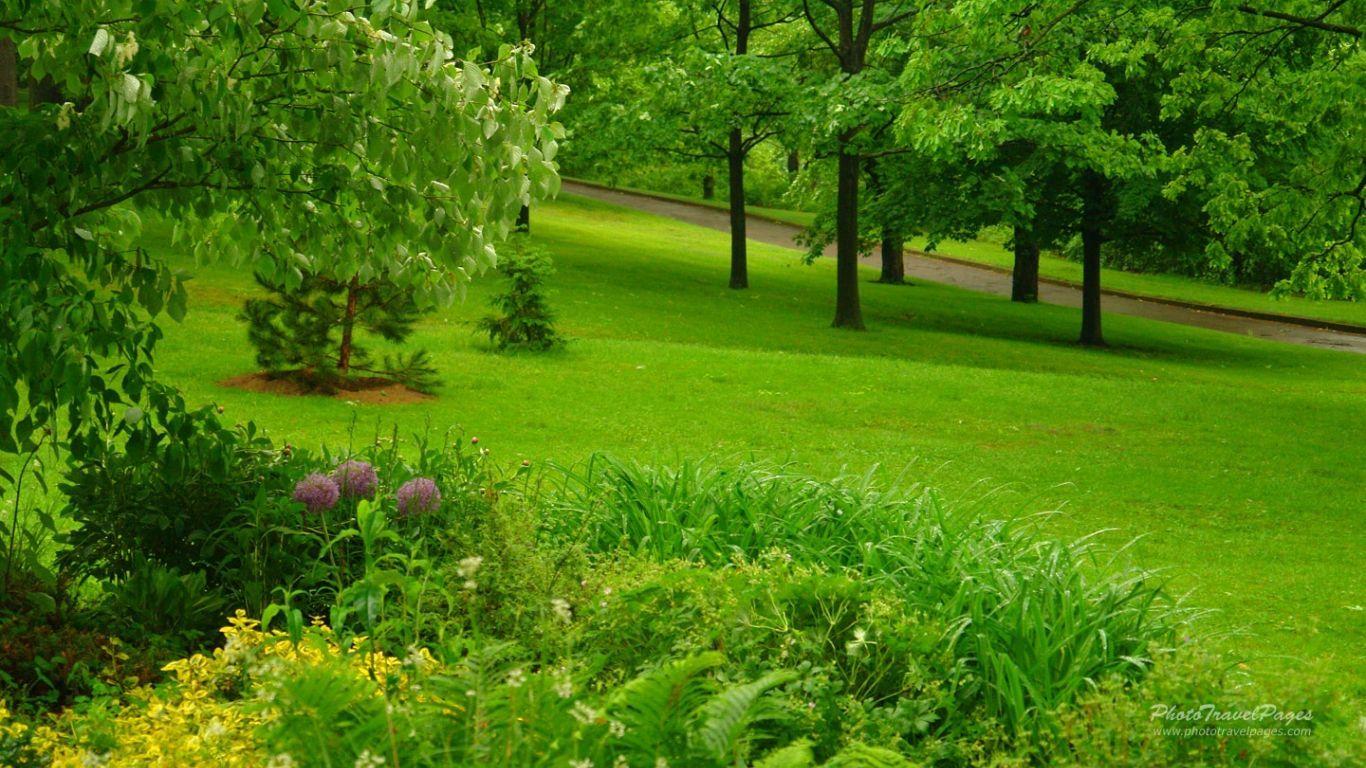 Spring Rain Desktop Wallpapers - Top Free Spring Rain Desktop ...