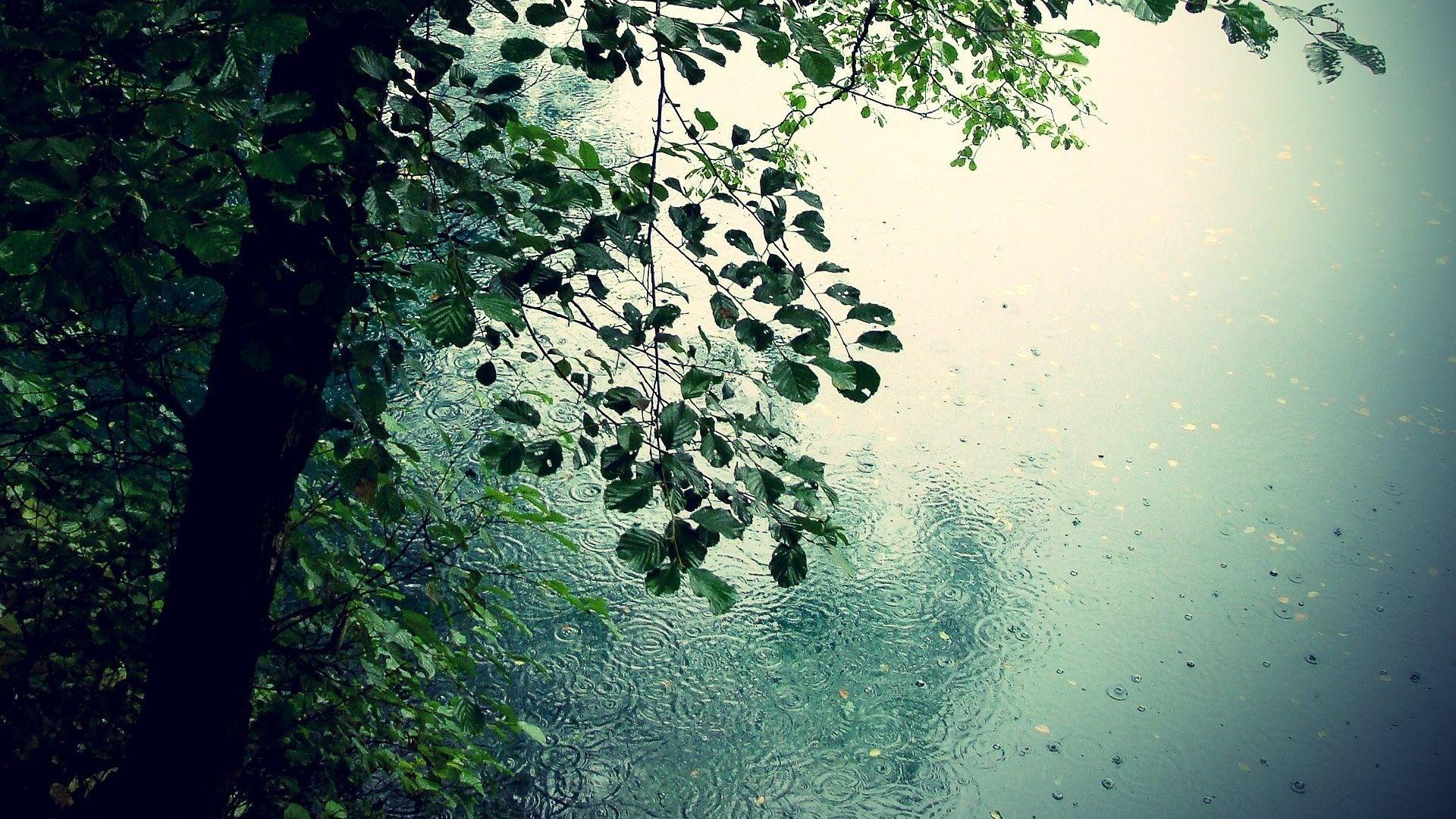 Spring Rain Desktop Wallpapers - Top Free Spring Rain Desktop ...