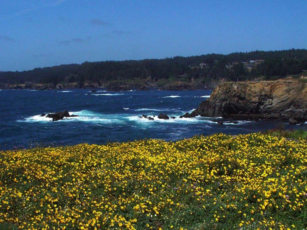 Northern California Wallpapers - Top Free Northern California ...