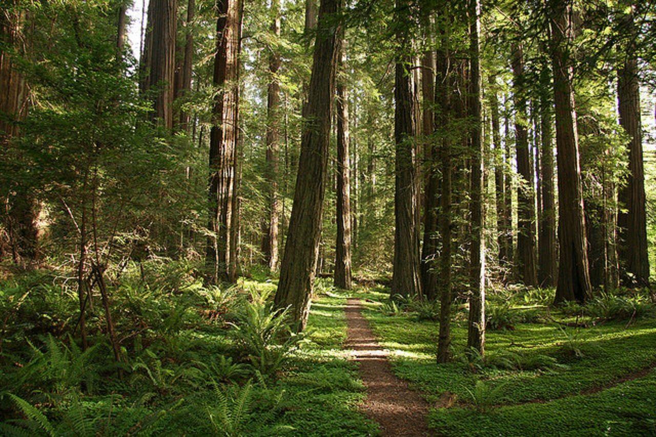 Northern California Wallpapers - Top Free Northern California ...