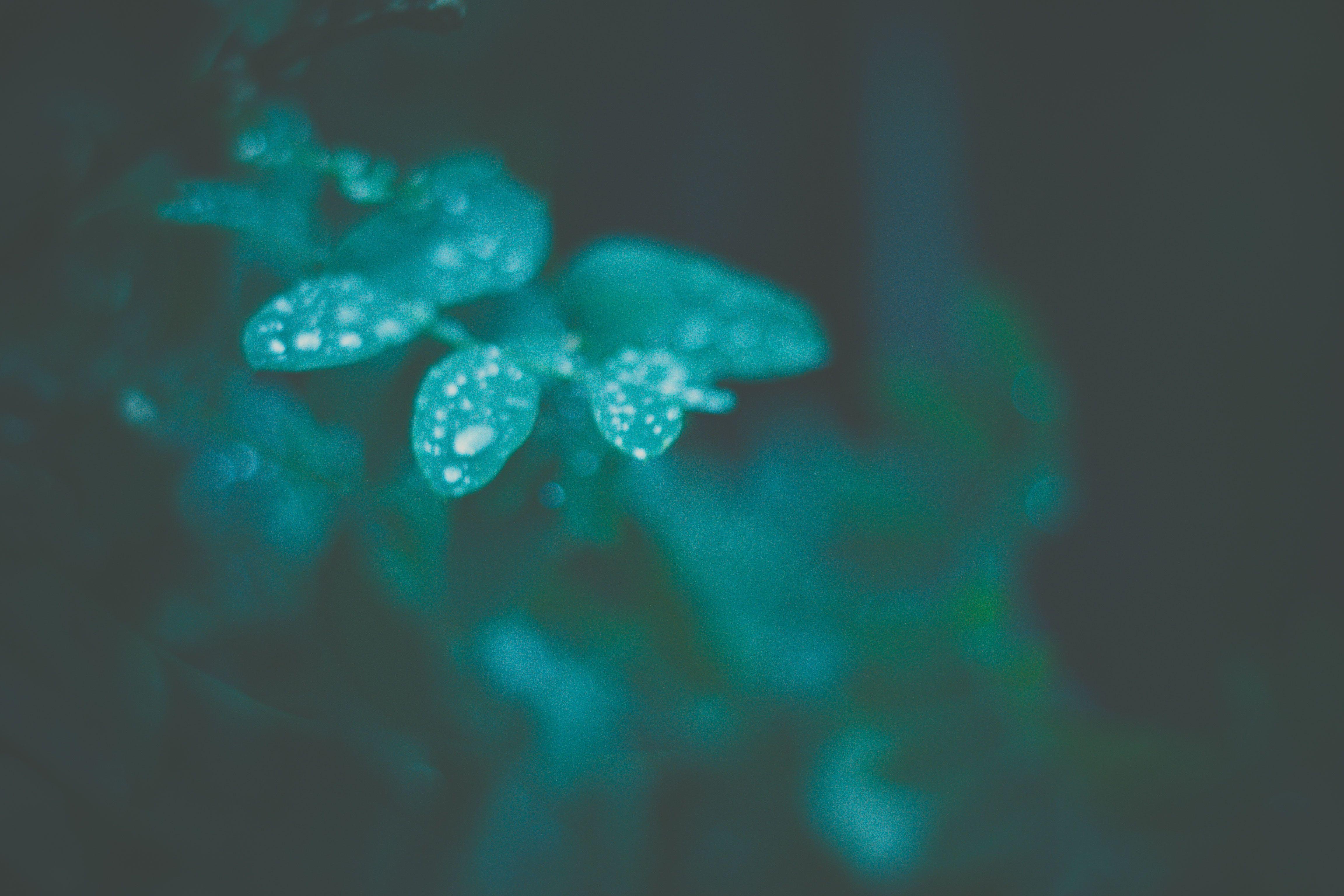 Negative Wallpapers - Top Free Negative Backgrounds - WallpaperAccess