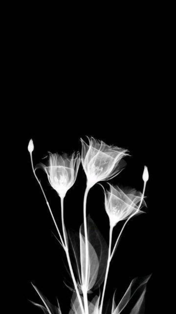 Negative Wallpapers - Top Free Negative Backgrounds - WallpaperAccess