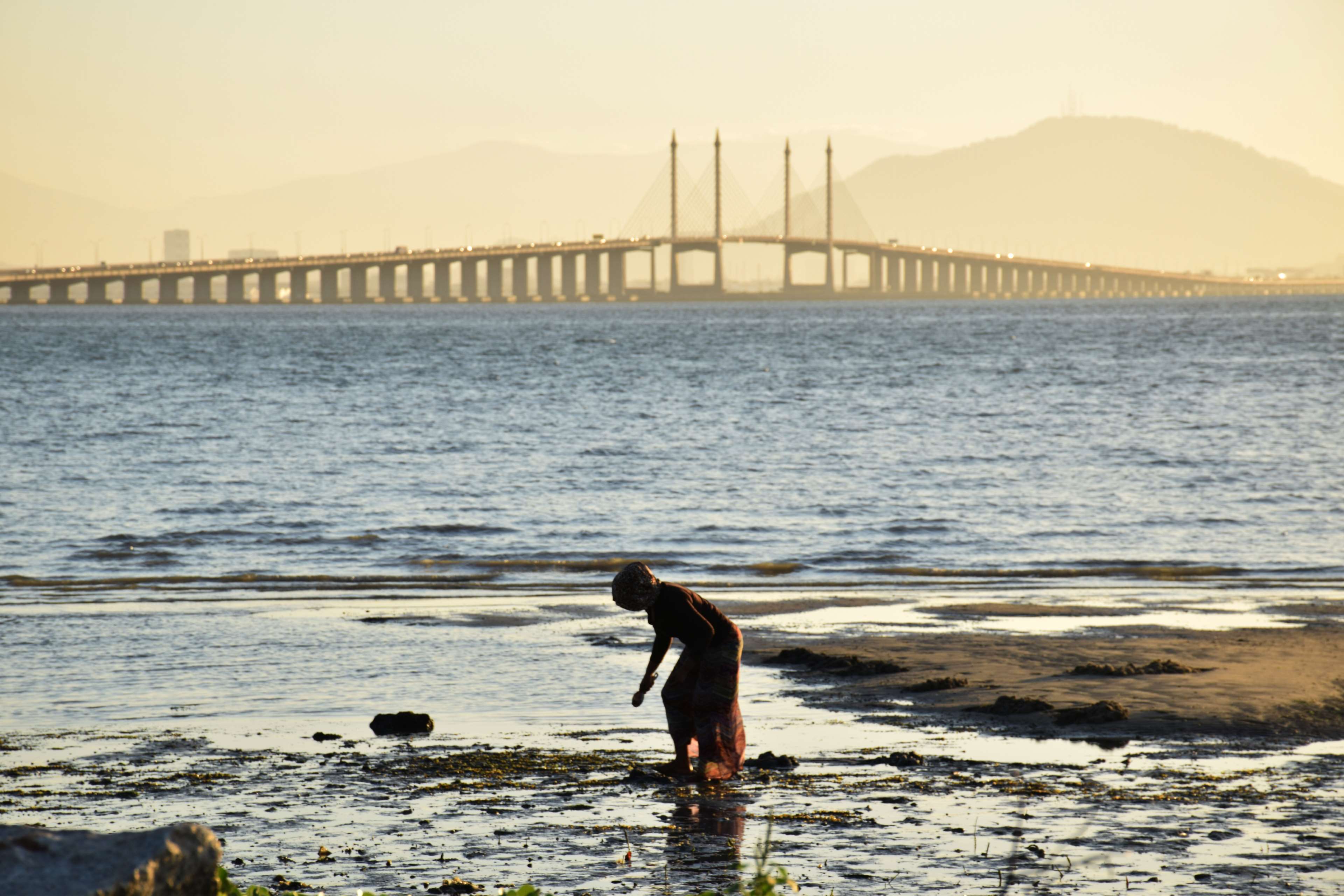 Penang Wallpapers - Top Free Penang Backgrounds - WallpaperAccess