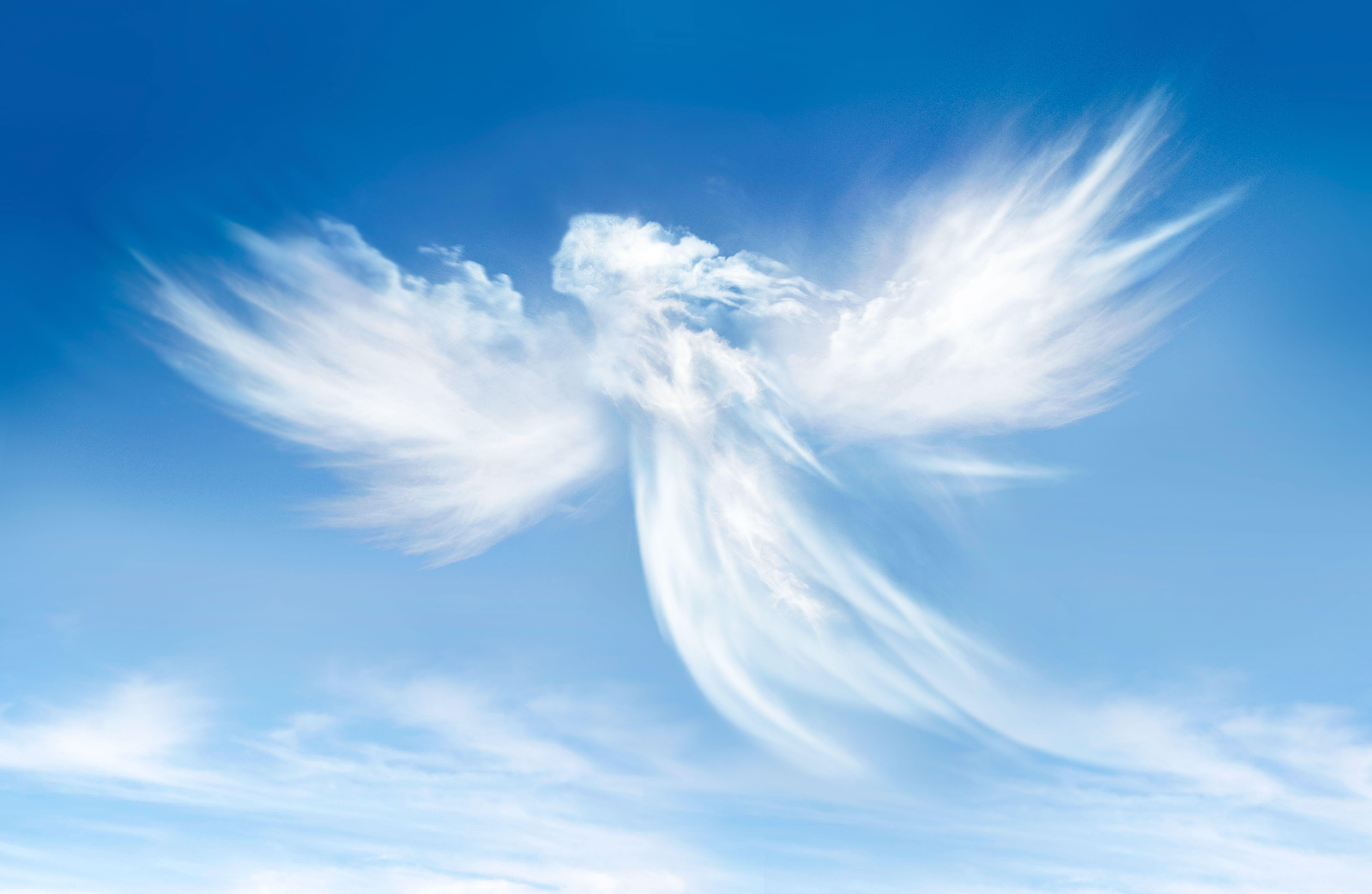 Angel Wallpapers - Top Free Angel Backgrounds - WallpaperAccess