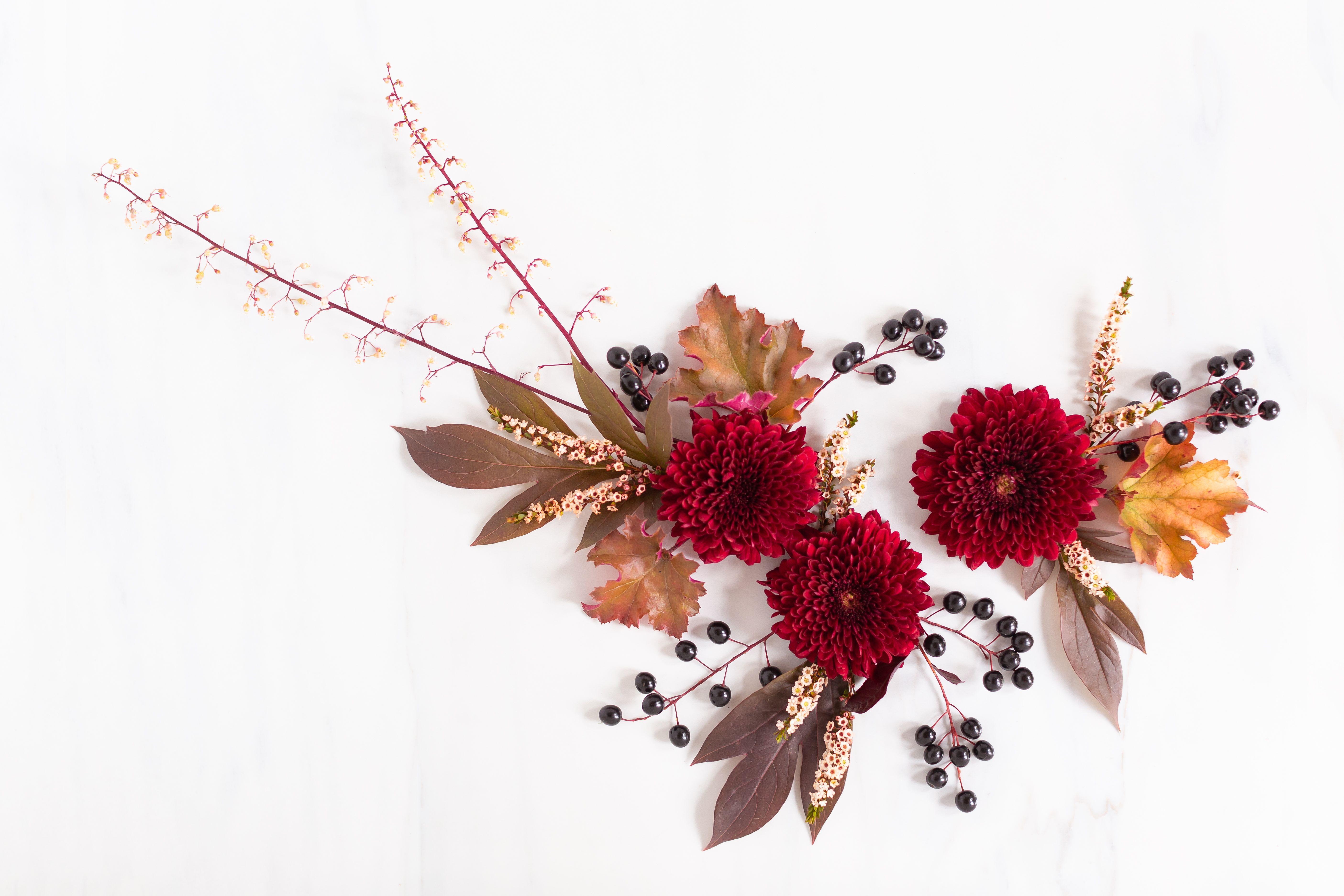 Maroon Flower Desktop Wallpapers - Top Free Maroon Flower Desktop ...