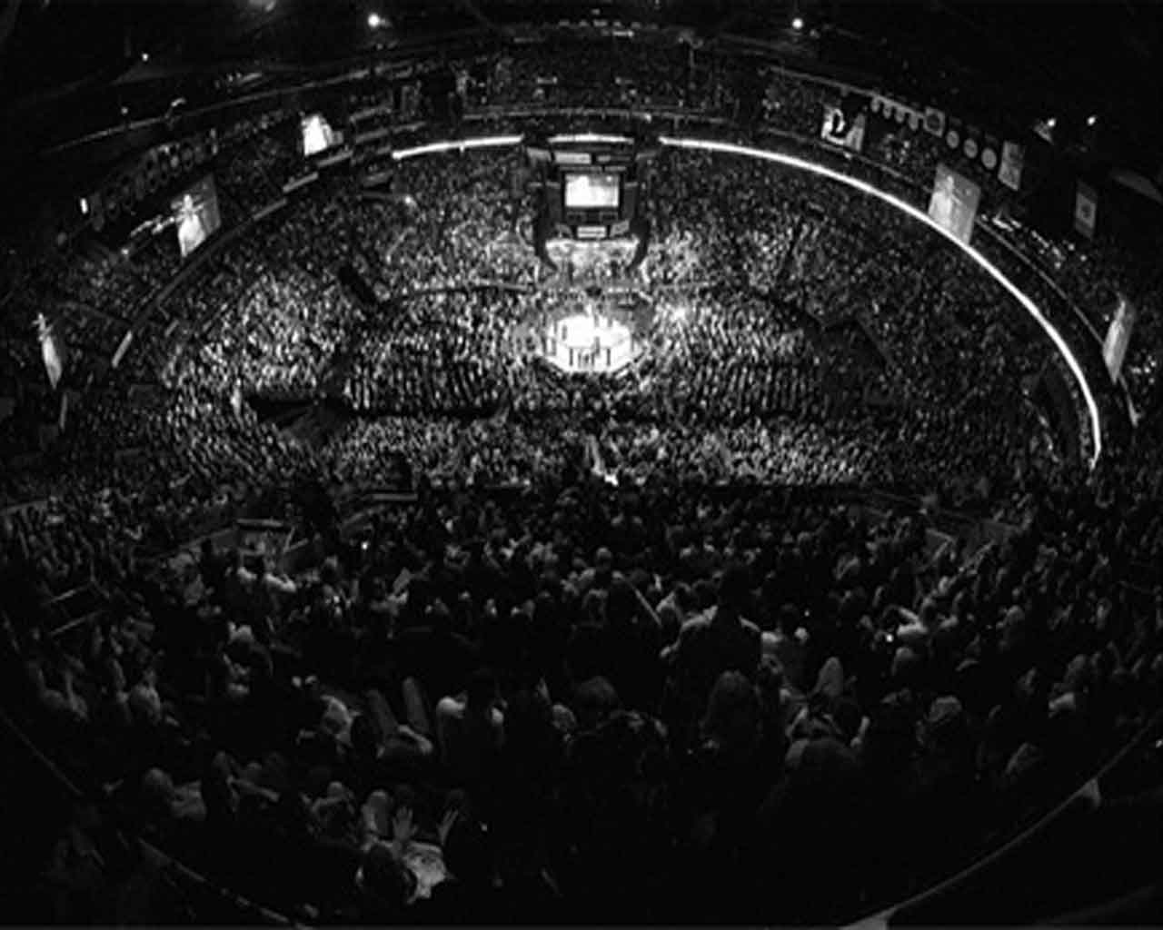 UFC 4K Wallpapers - Top Free UFC 4K Backgrounds - WallpaperAccess