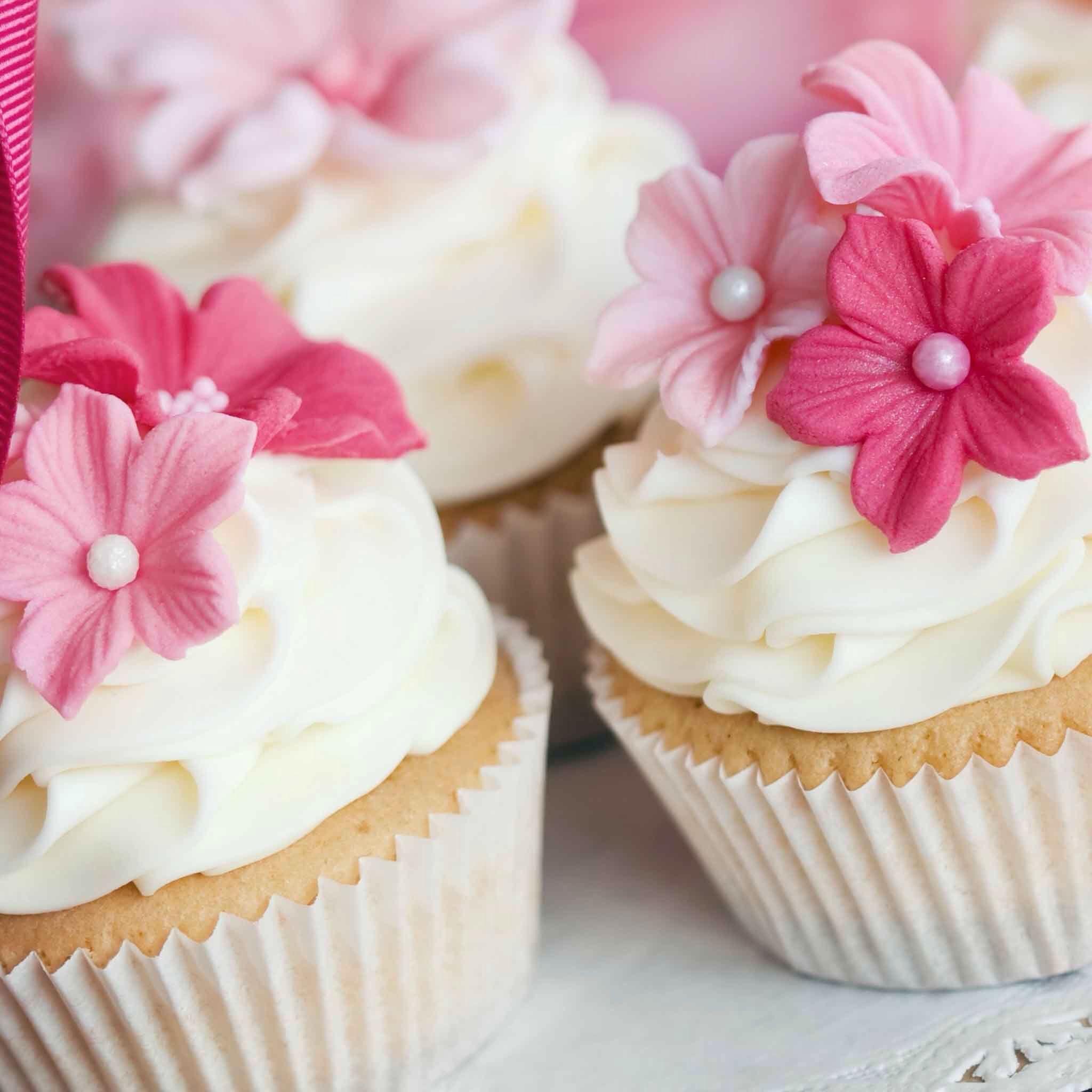 Spring Cupcake Wallpapers - Top Free Spring Cupcake Backgrounds ...