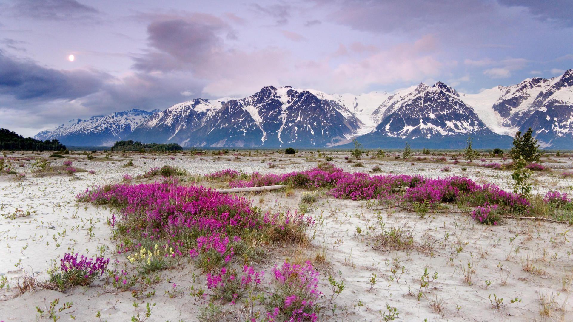 Spring Alaska Wallpapers - Top Free Spring Alaska Backgrounds ...