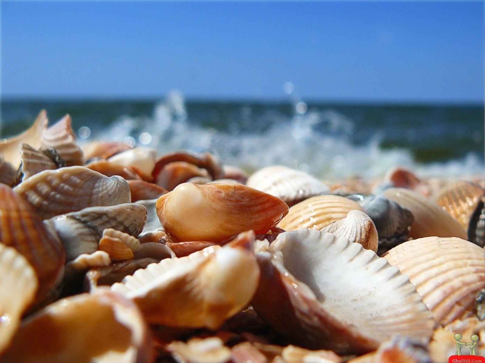 Nature Sea Wallpapers - Top Free Nature Sea Backgrounds - WallpaperAccess