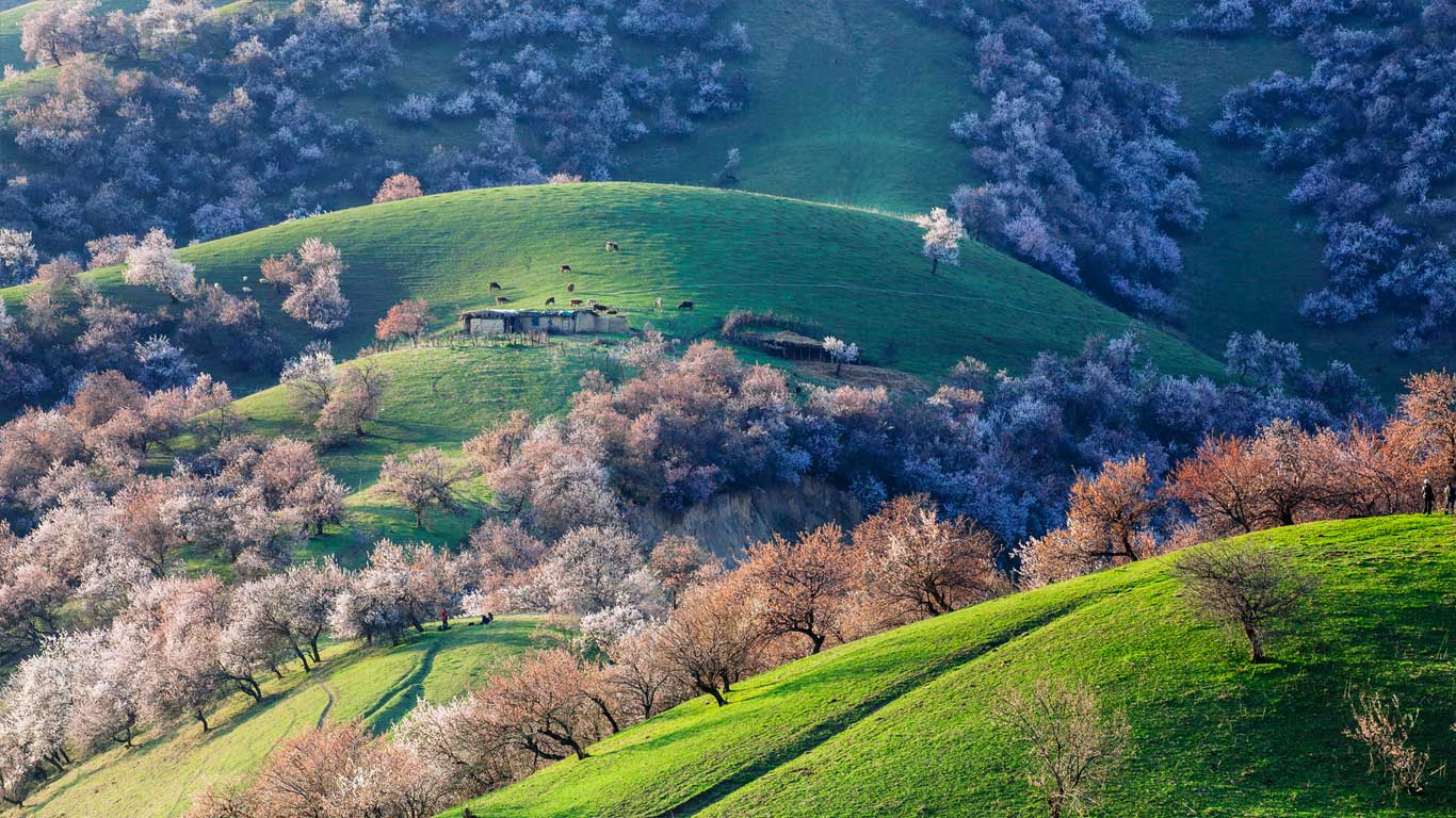 Xinjiang Wallpapers - Top Free Xinjiang Backgrounds - WallpaperAccess