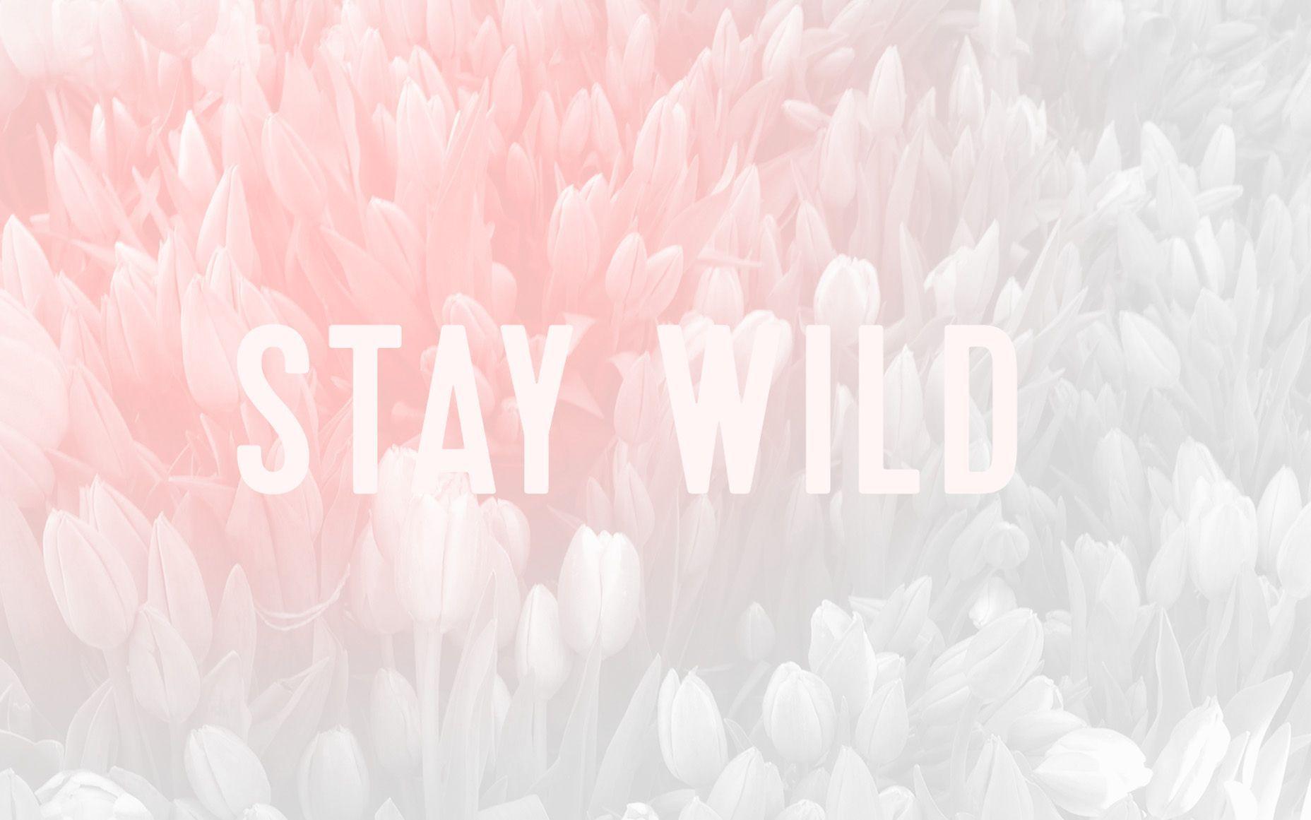 Stay Wild Wallpapers - Top Free Stay Wild Backgrounds - WallpaperAccess