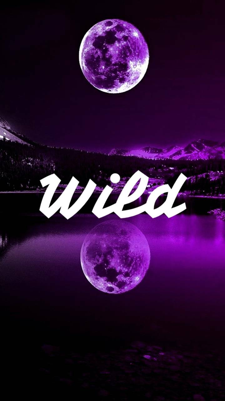Stay Wild Wallpapers - Top Free Stay Wild Backgrounds - WallpaperAccess