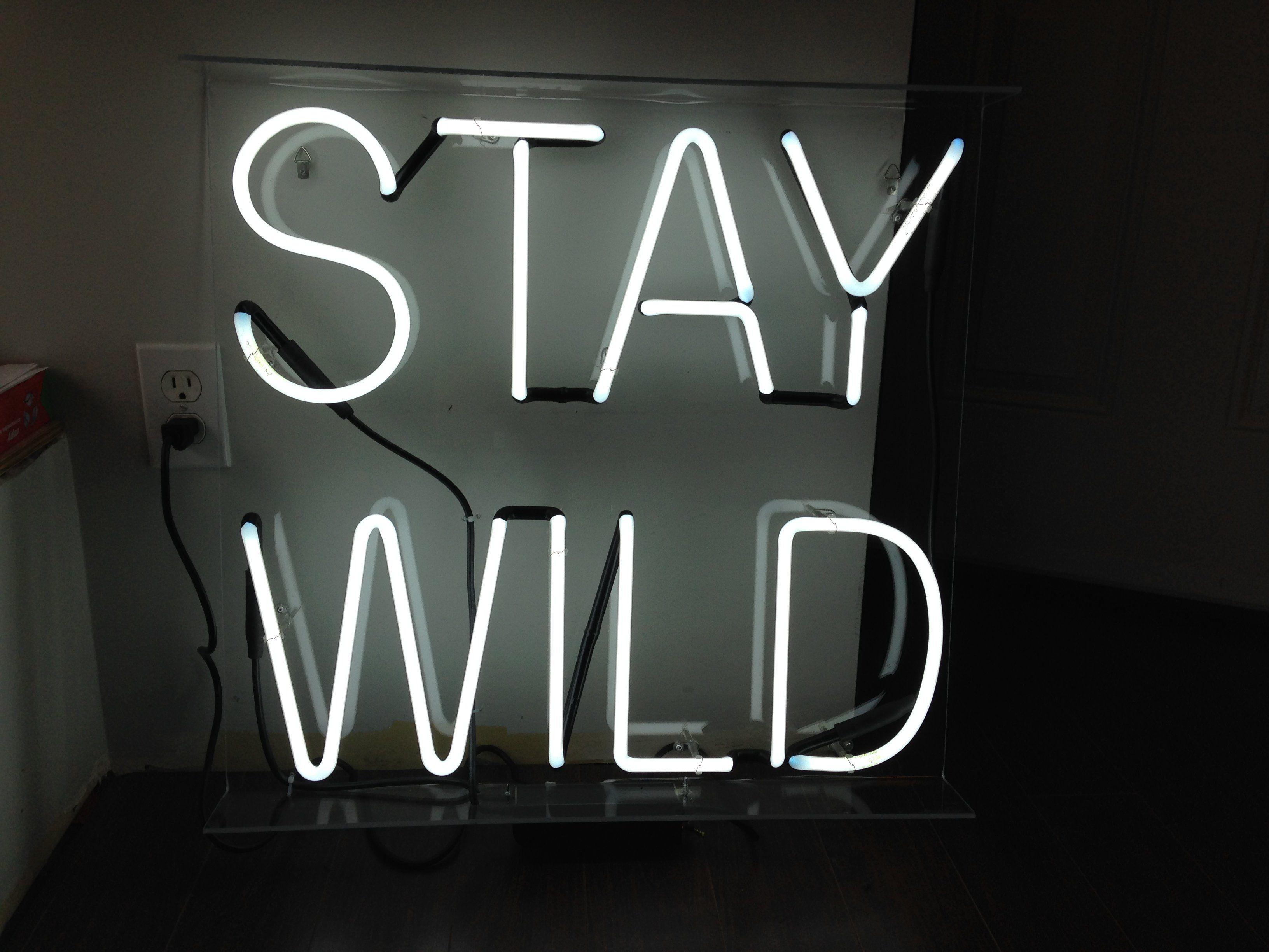 Stay Wild Wallpapers - Top Free Stay Wild Backgrounds - WallpaperAccess