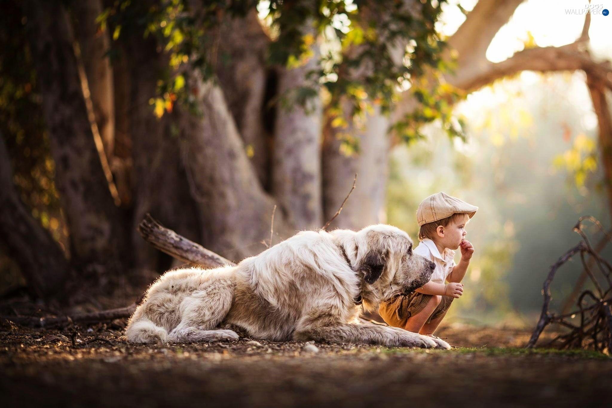 Boy And Dog Wallpapers - Top Free Boy And Dog Backgrounds - WallpaperAccess