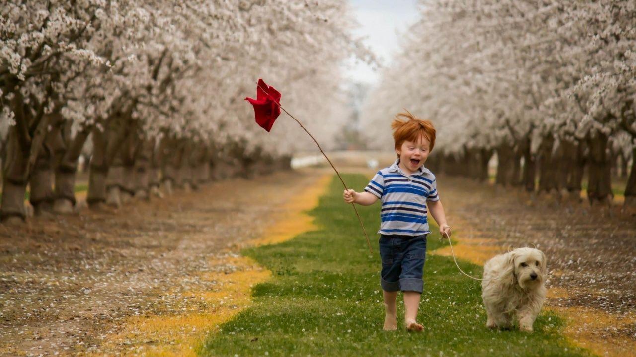 Boy And Dog Wallpapers - Top Free Boy And Dog Backgrounds - WallpaperAccess