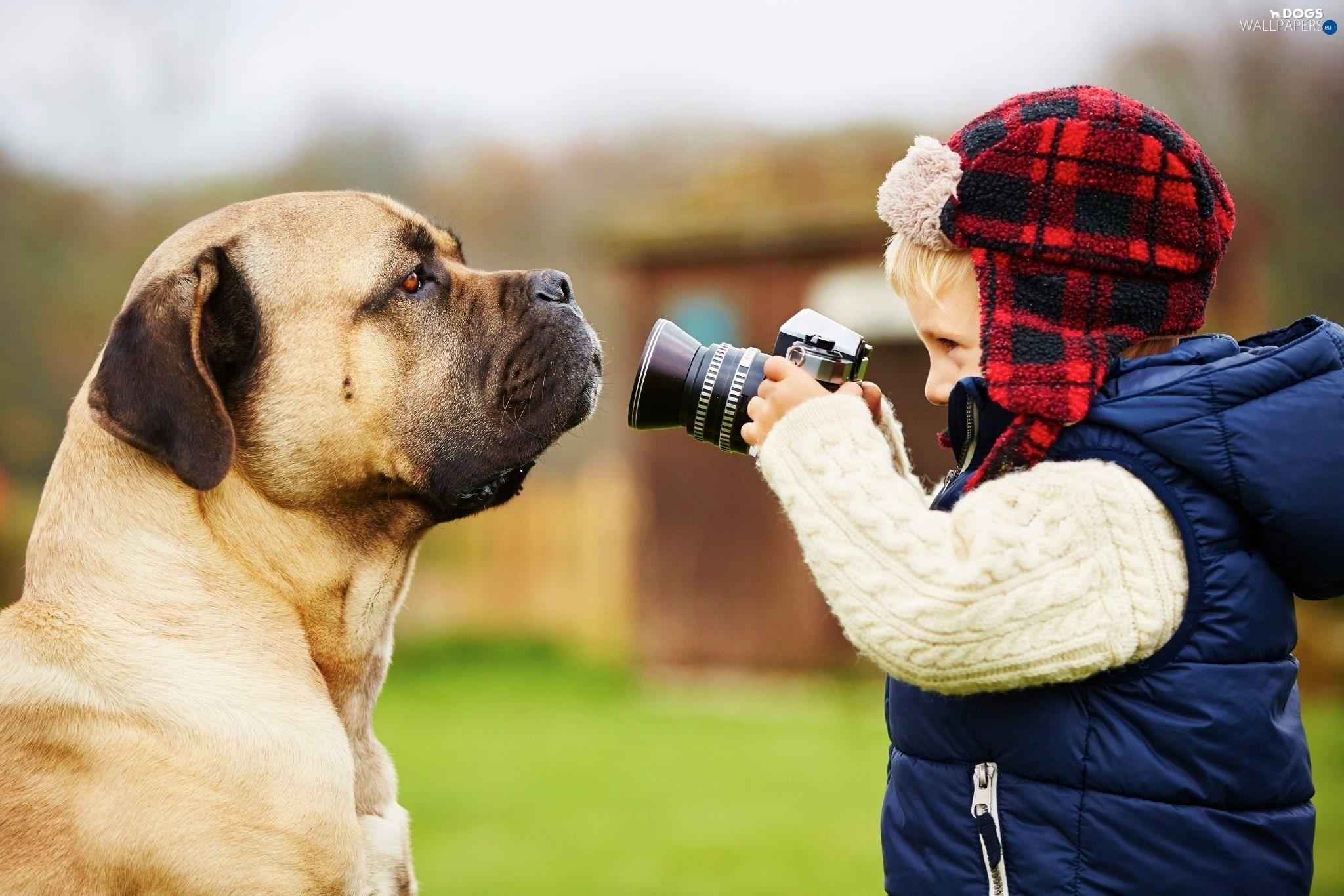 Boy And Dog Wallpapers - Top Free Boy And Dog Backgrounds - WallpaperAccess