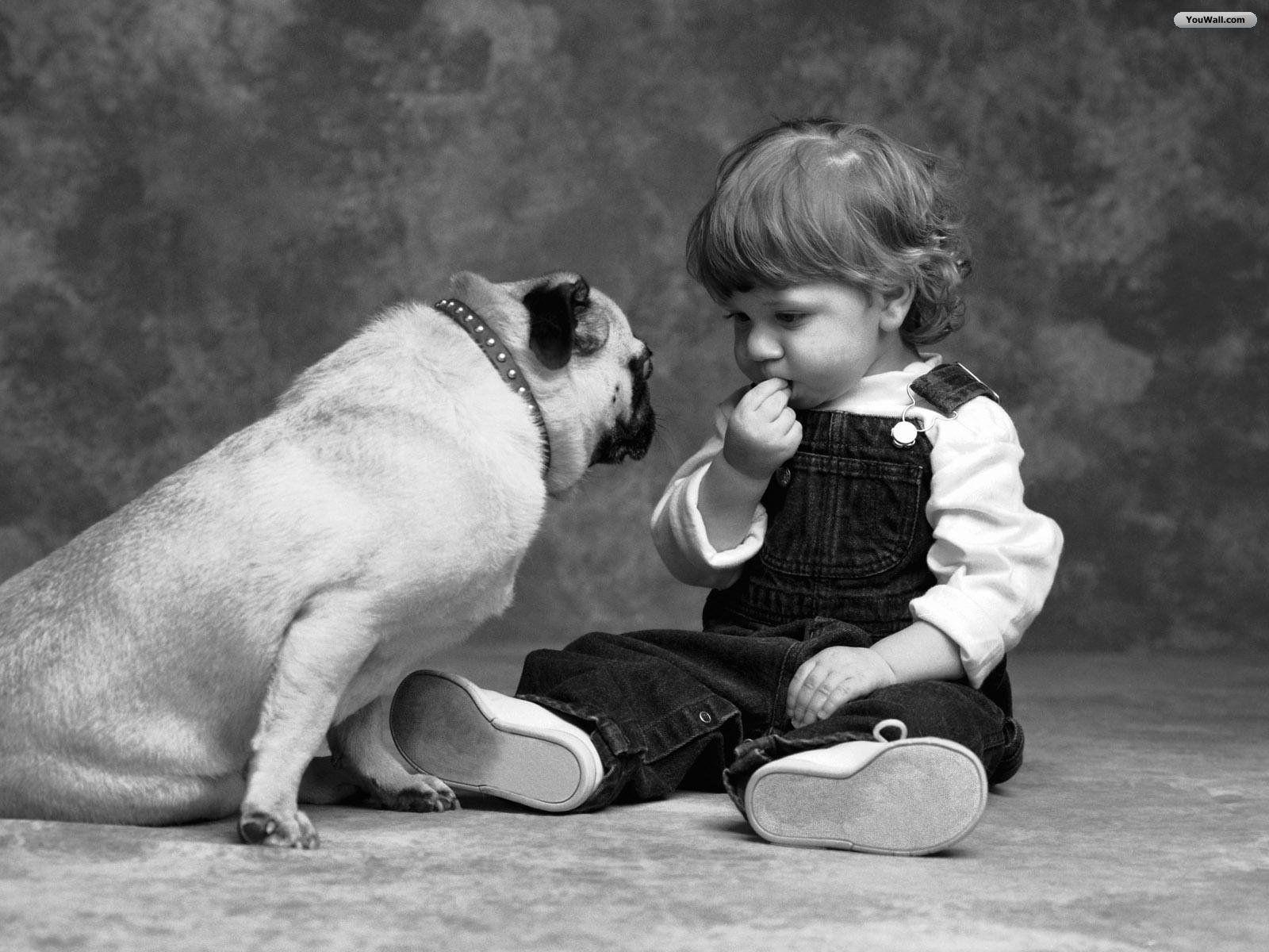 Boy And Dog Wallpapers - Top Free Boy And Dog Backgrounds - WallpaperAccess