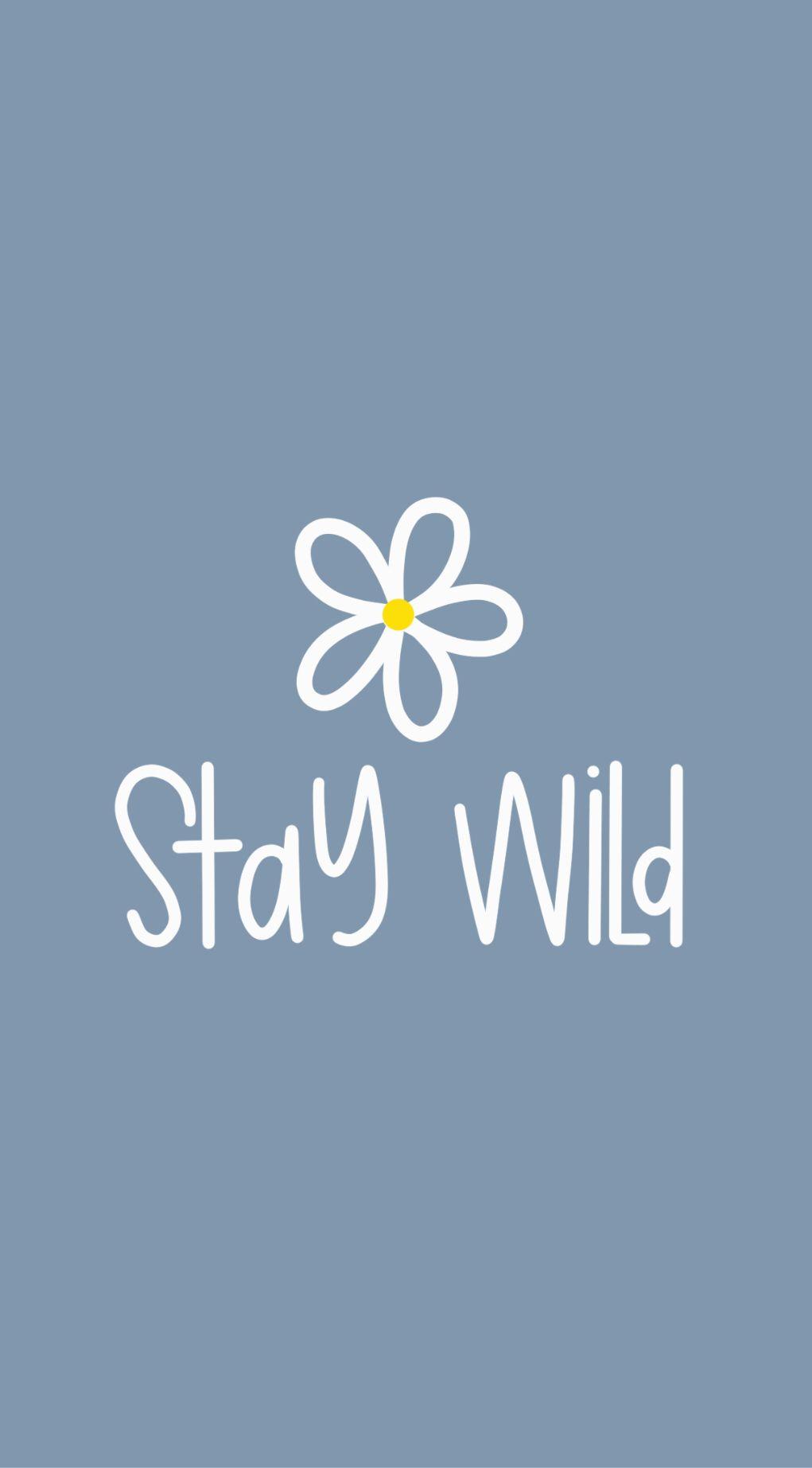 Stay Wild Wallpapers - Top Free Stay Wild Backgrounds - WallpaperAccess