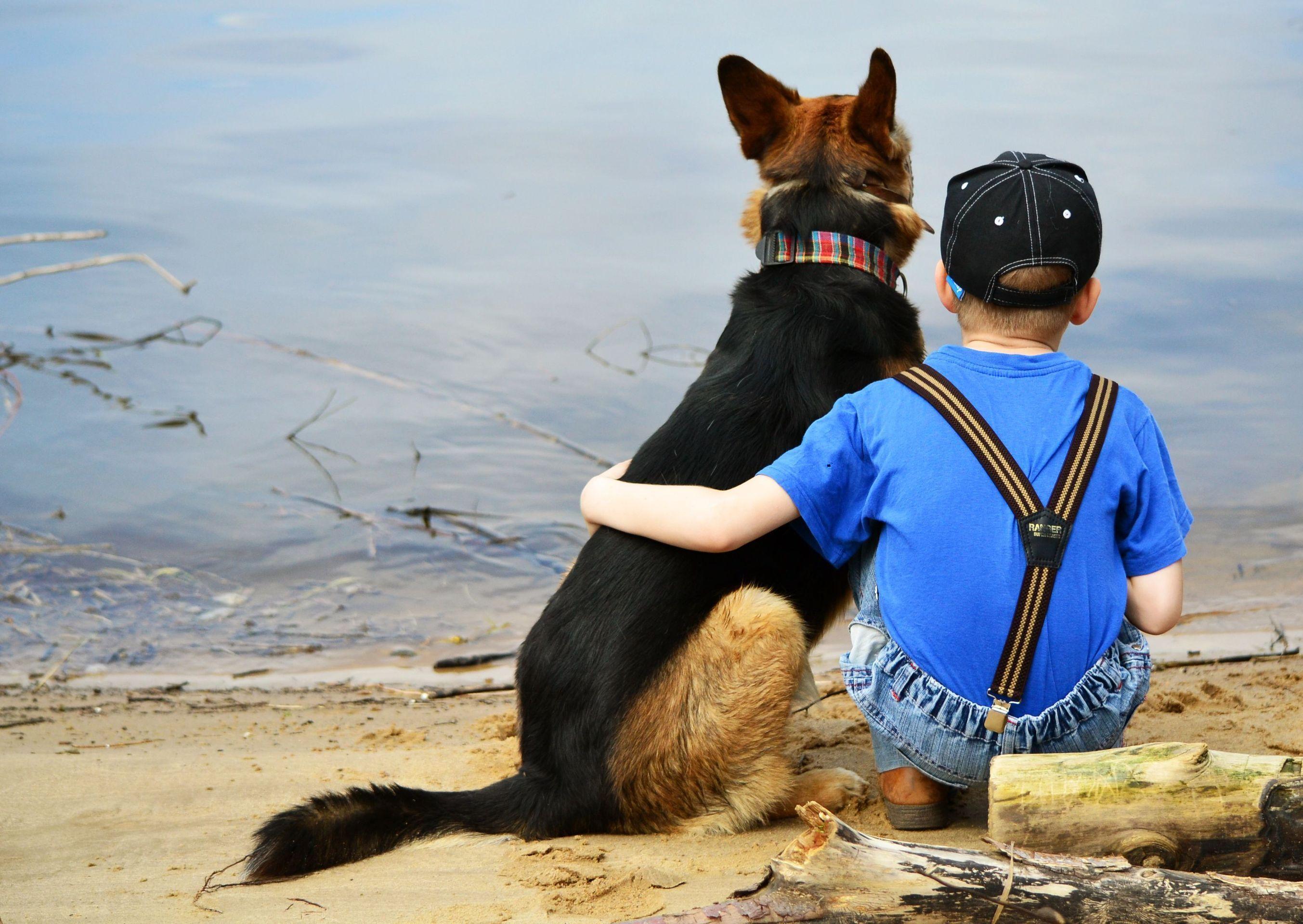 Boy And Dog Wallpapers - Top Free Boy And Dog Backgrounds - WallpaperAccess