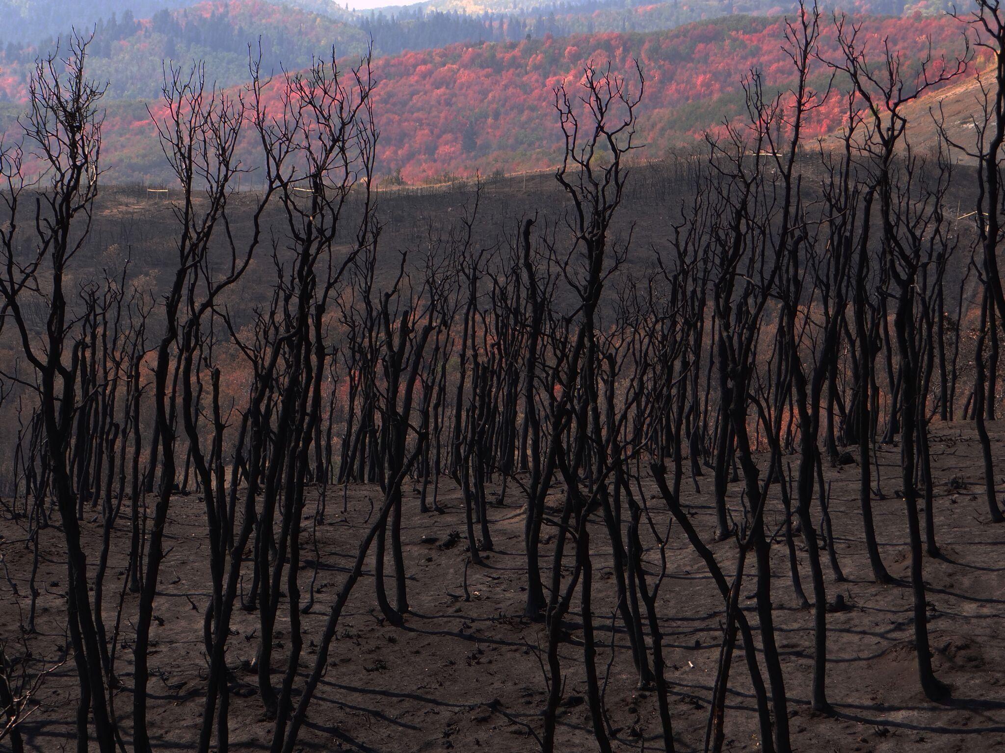 Park City Utah Wallpapers - Top Free Park City Utah Backgrounds ...