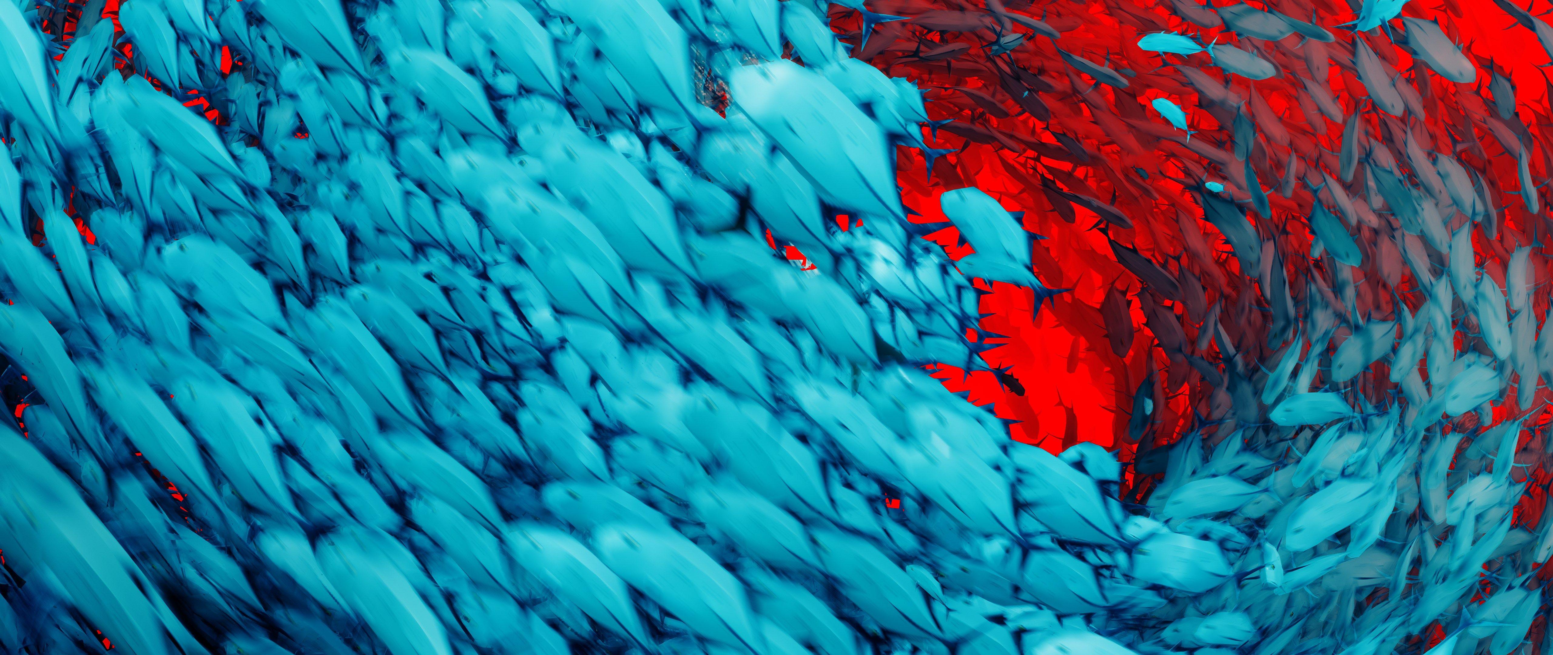 Abzu Desktop Wallpapers - Top Free Abzu Desktop Backgrounds ...