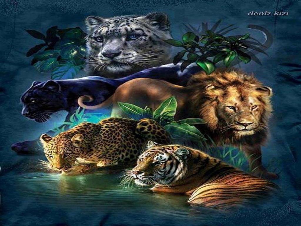 Wild Cat Wallpapers - Top Free Wild Cat Backgrounds - WallpaperAccess