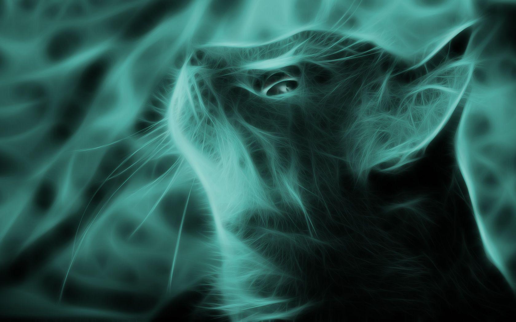 Green Cat Wallpapers - Top Free Green Cat Backgrounds - WallpaperAccess