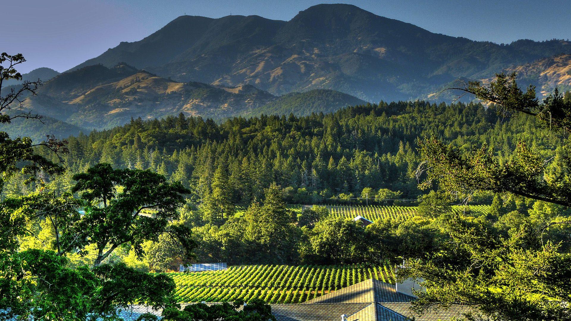 Napa California HD Wallpapers - Top Free Napa California HD Backgrounds ...