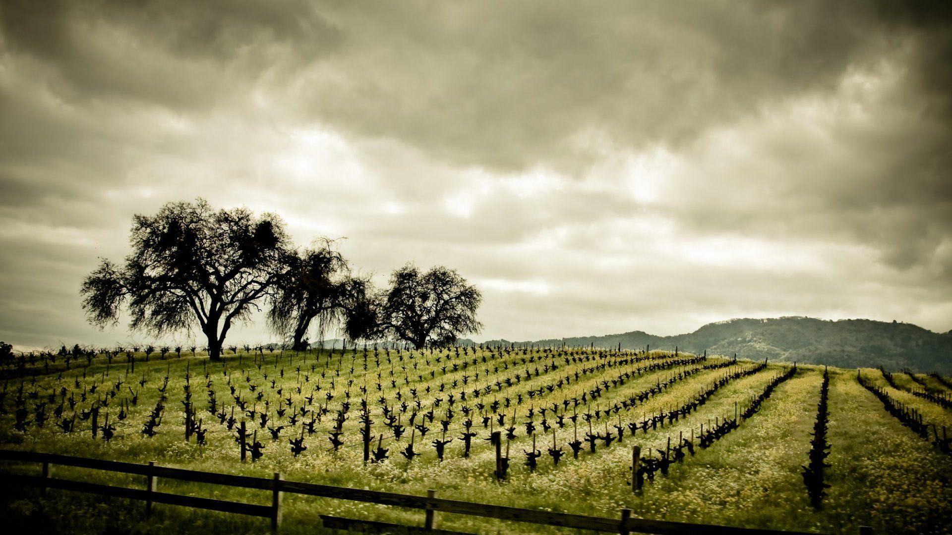 Napa California HD Wallpapers - Top Free Napa California HD Backgrounds ...