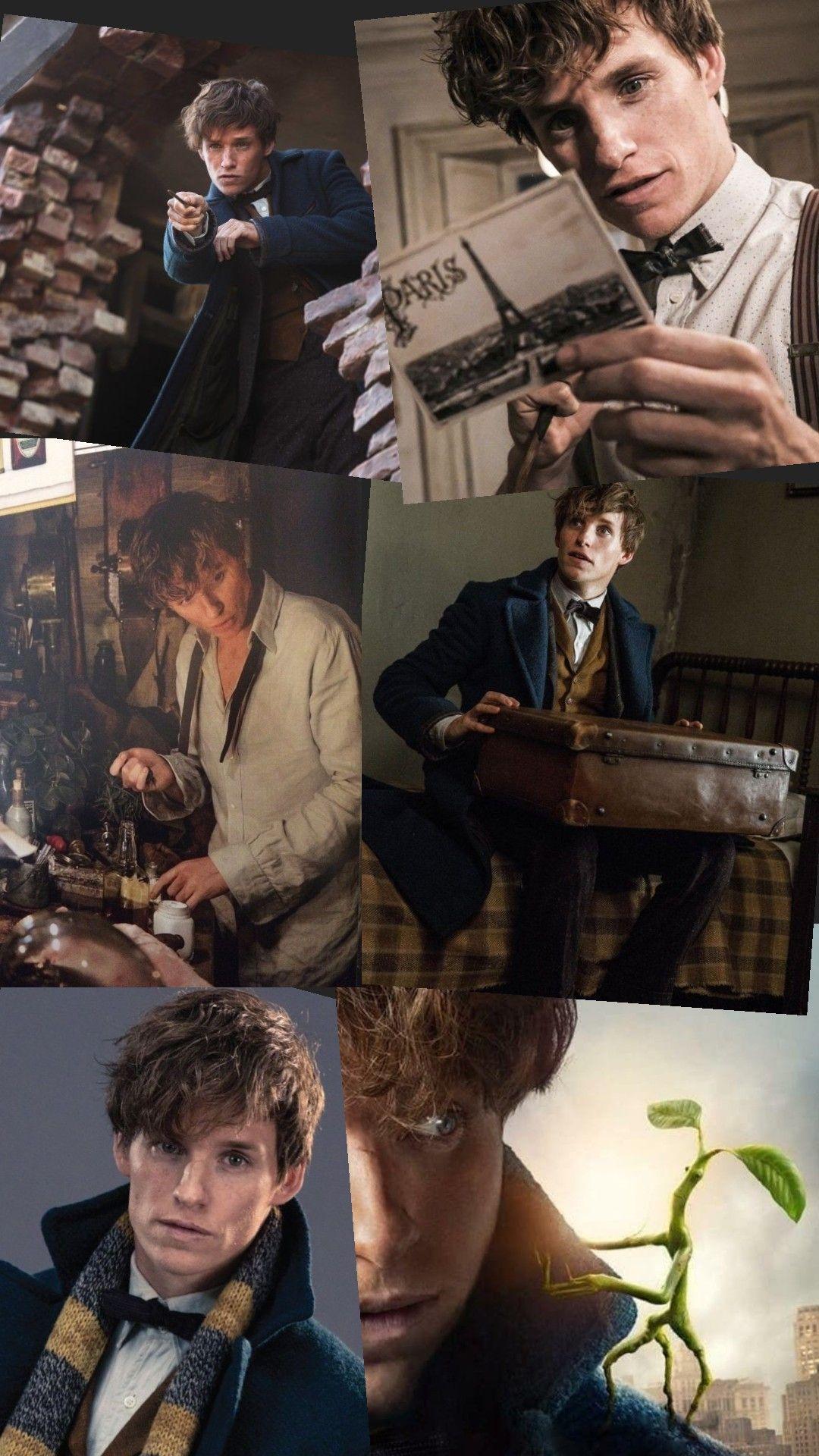 Newt Scamander Wallpapers - Top Free Newt Scamander Backgrounds ...