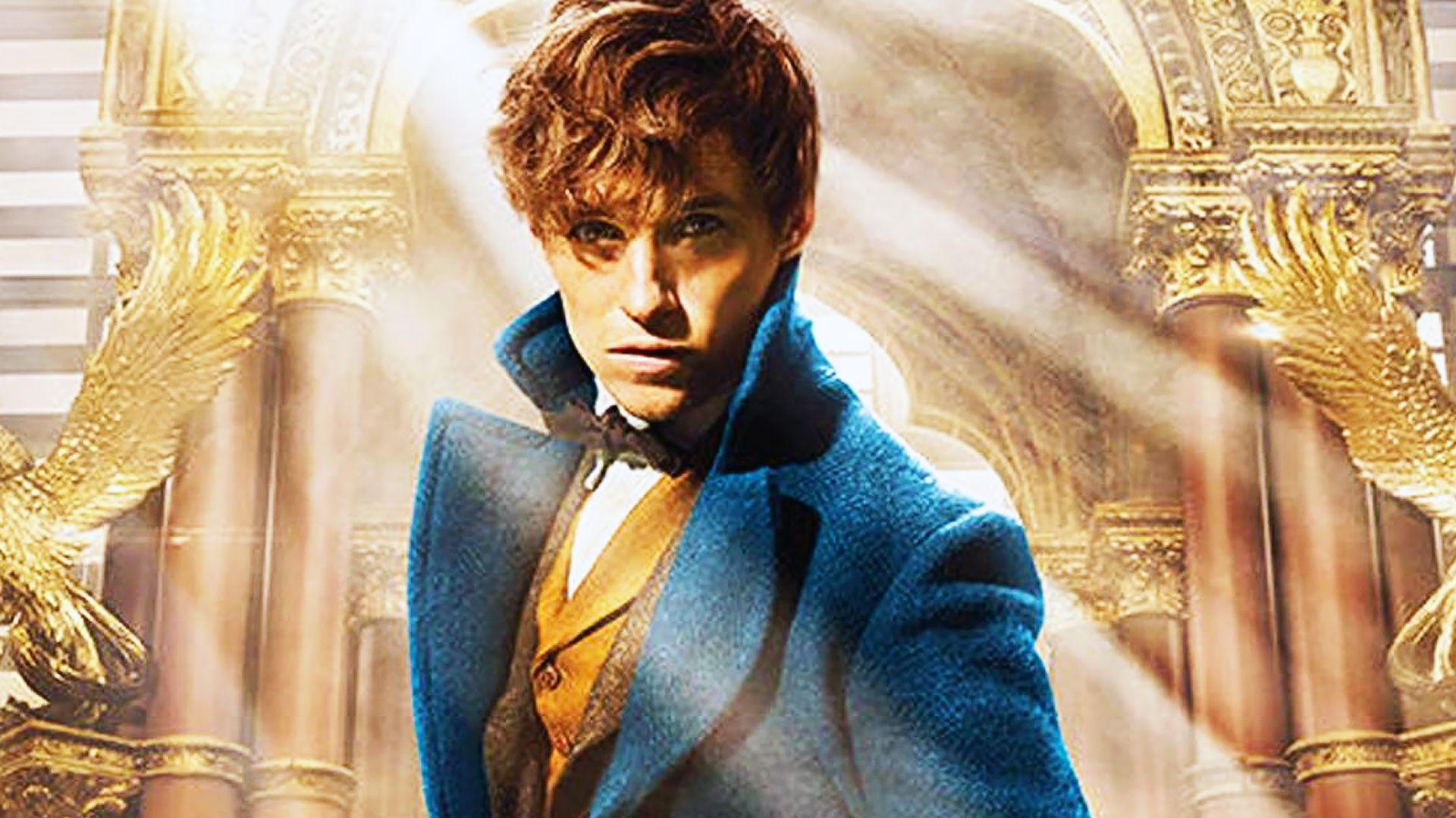 Newt Scamander Wallpapers - Top Free Newt Scamander Backgrounds ...