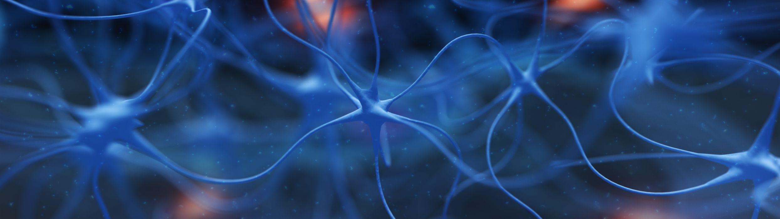 Brain Cells Wallpapers - Top Free Brain Cells Backgrounds - WallpaperAccess